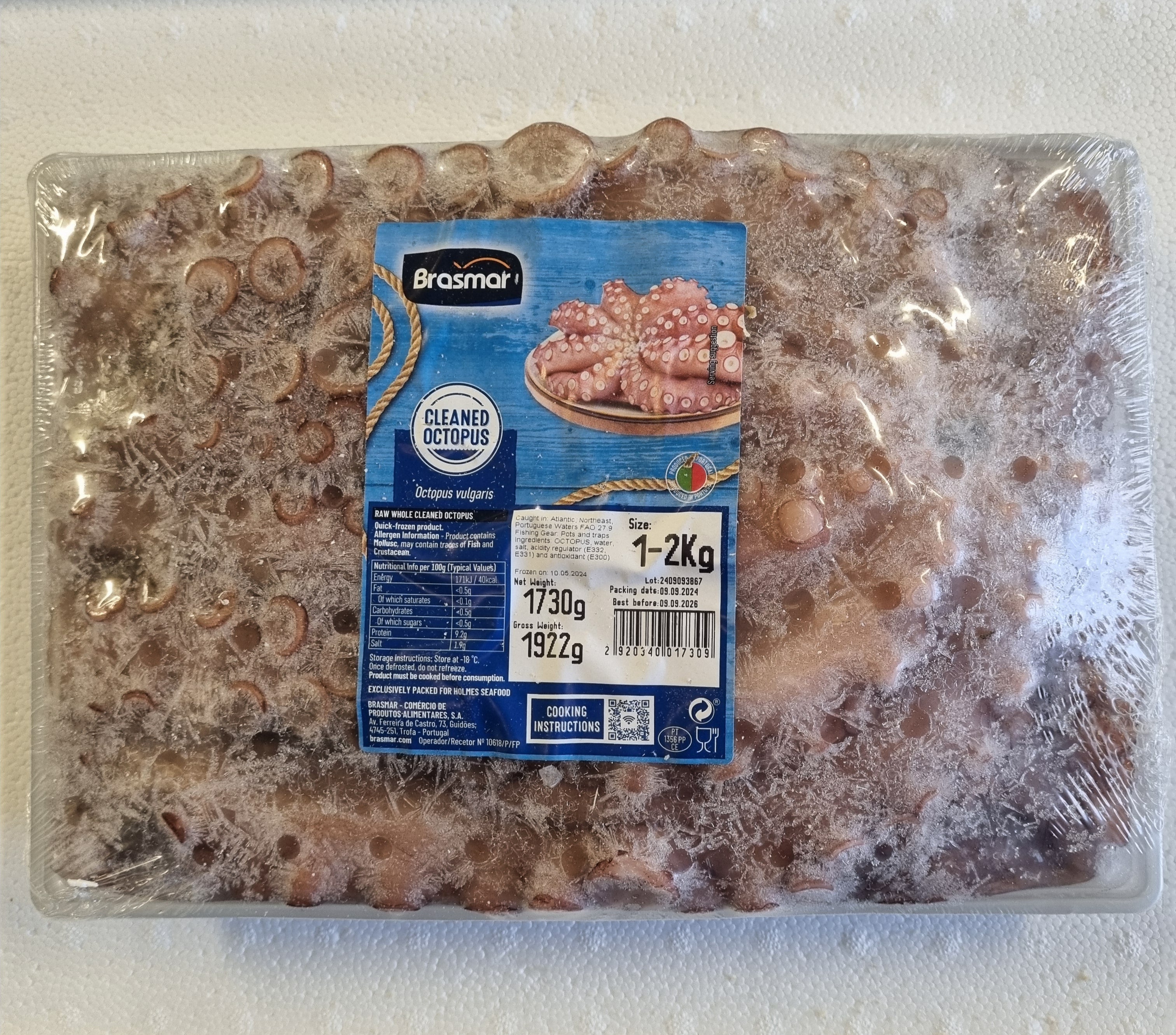 Octopus 1-2 kilo – Island Seafood